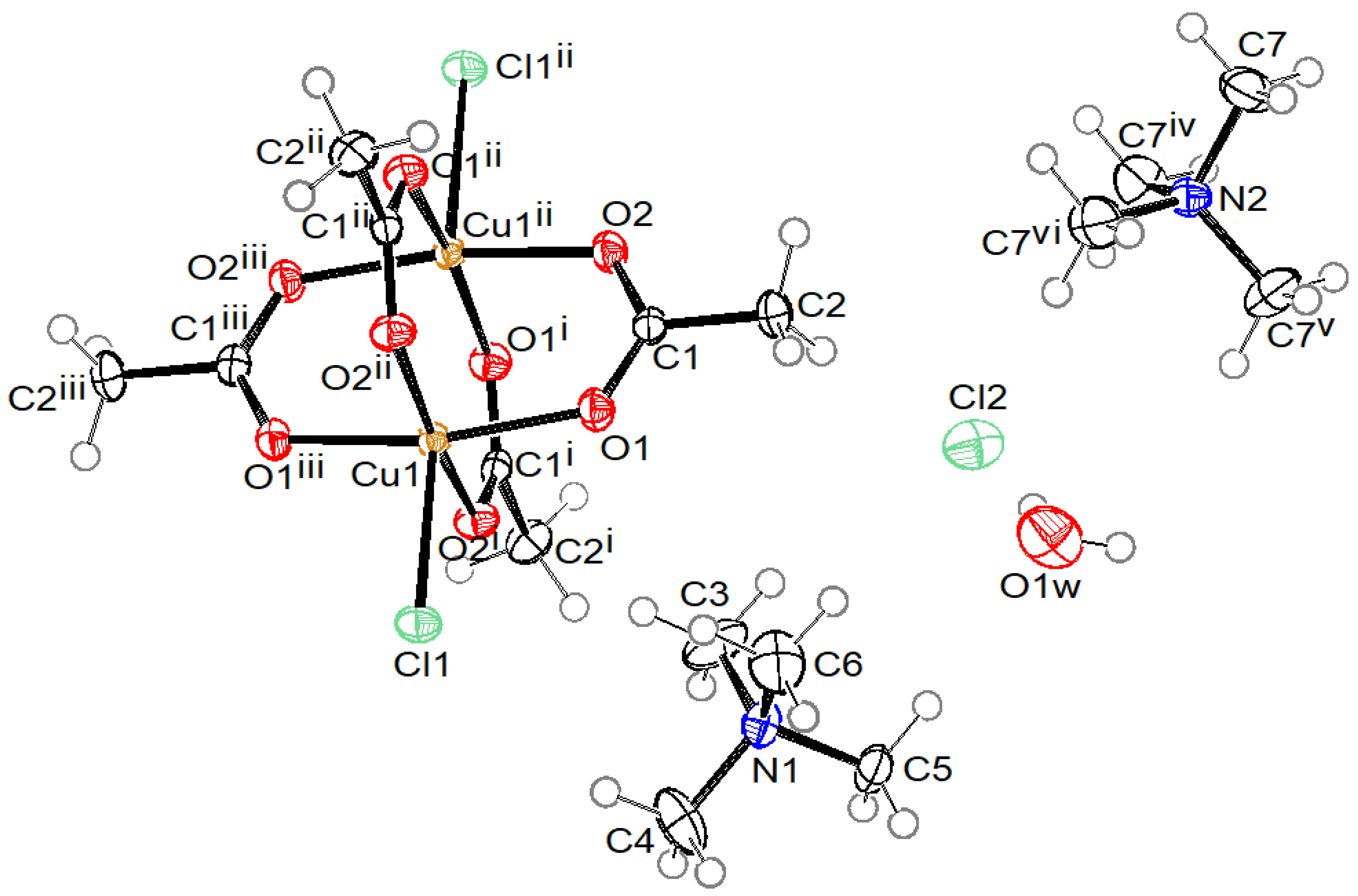 Synthesis and Characterization of New Copper(II) Coordination Compounds with Methylammonium Cations