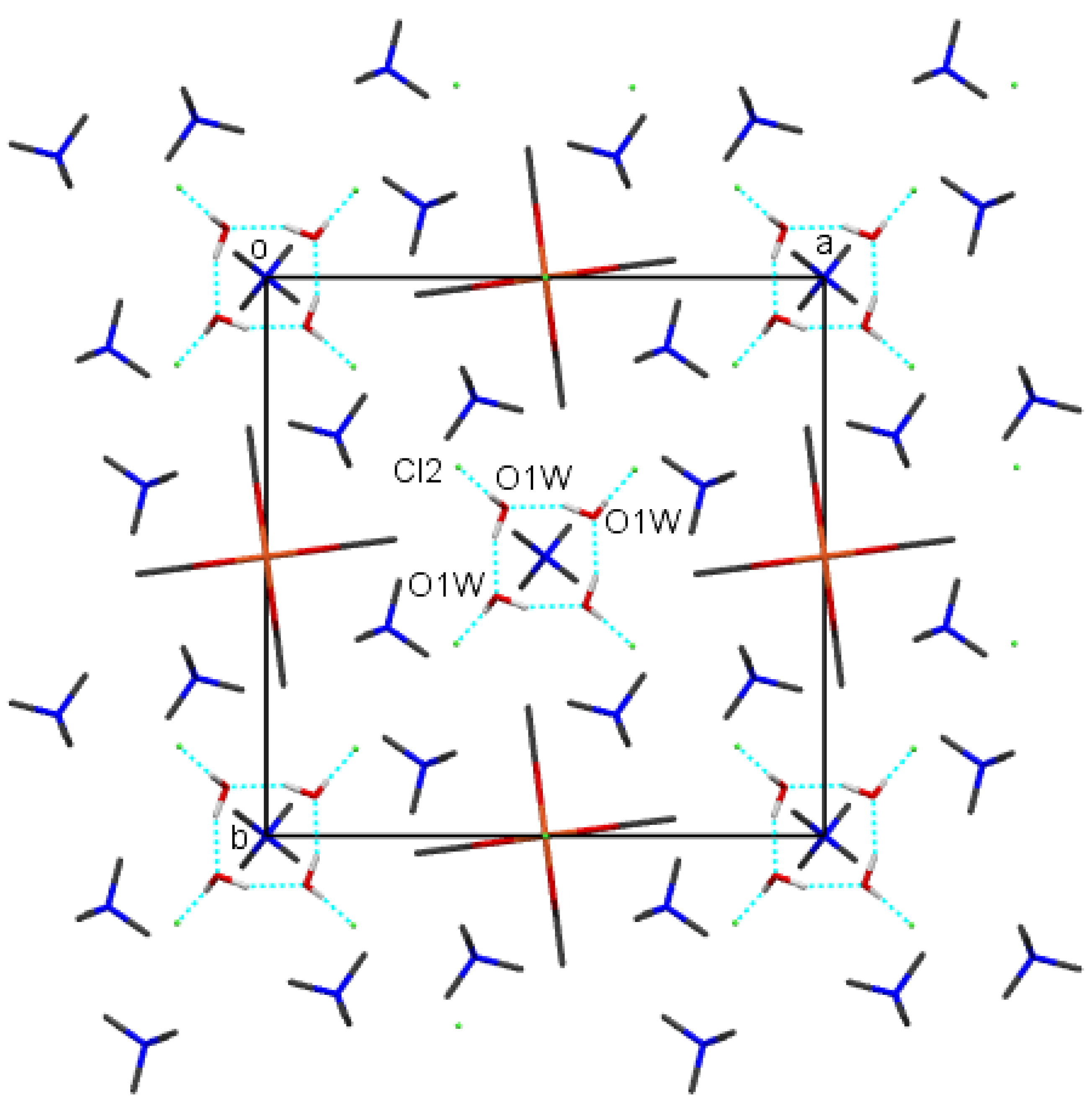 Synthesis and Characterization of New Copper(II) Coordination Compounds with Methylammonium Cations