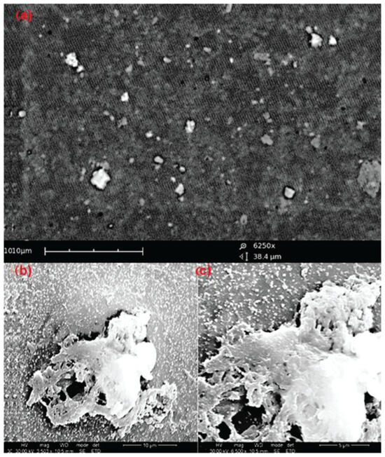 Inorganic-Based Nanoparticles and Biomaterials as Biocompatible Scaffolds for Regenerative ...