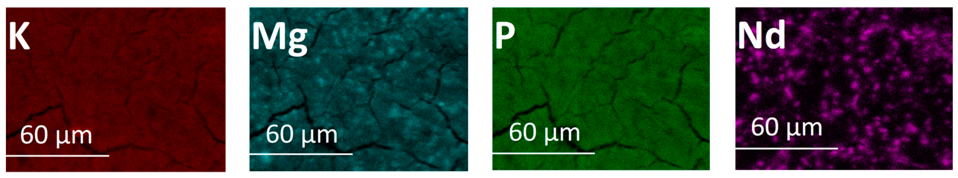 Investigation of Magnesium-Potassium Phosphates as Potential Nuclear ...