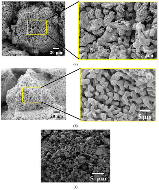 Structural and Morphological Investigation of Calcium-Silicate-Based ...
