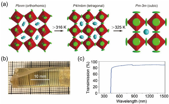 Bridgman Method for Growing Metal Halide Single Crystals: A Review