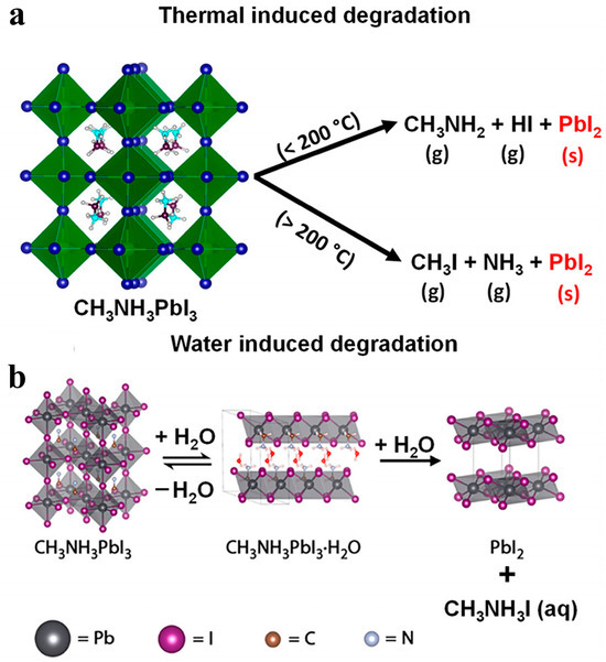 Mitigating Lead Toxicity in Halide Perovskite Solar Cells: Strategies ...
