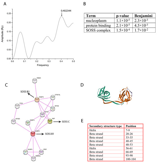[Pd(dach)Cl2] Complex Targets Proteins Involved in Ribosomal Biogenesis ...