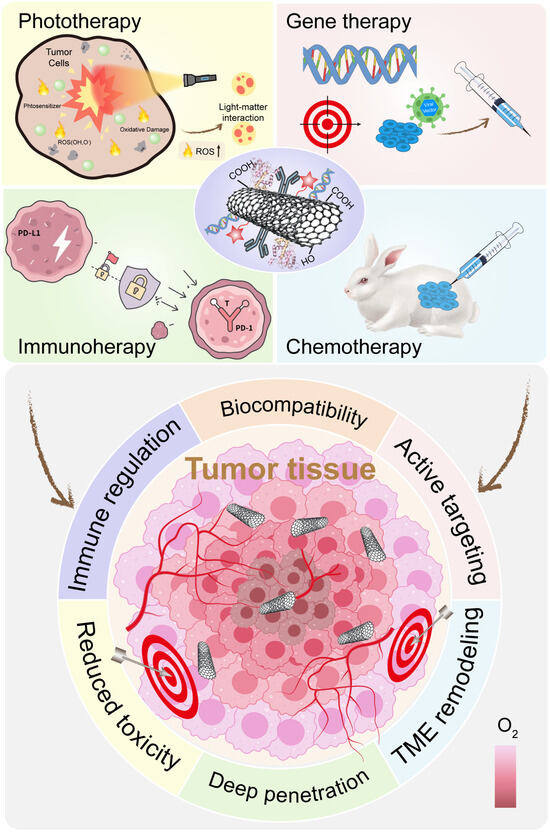 Smart Inorganic Nanomaterials for Tumor Microenvironment Modulation