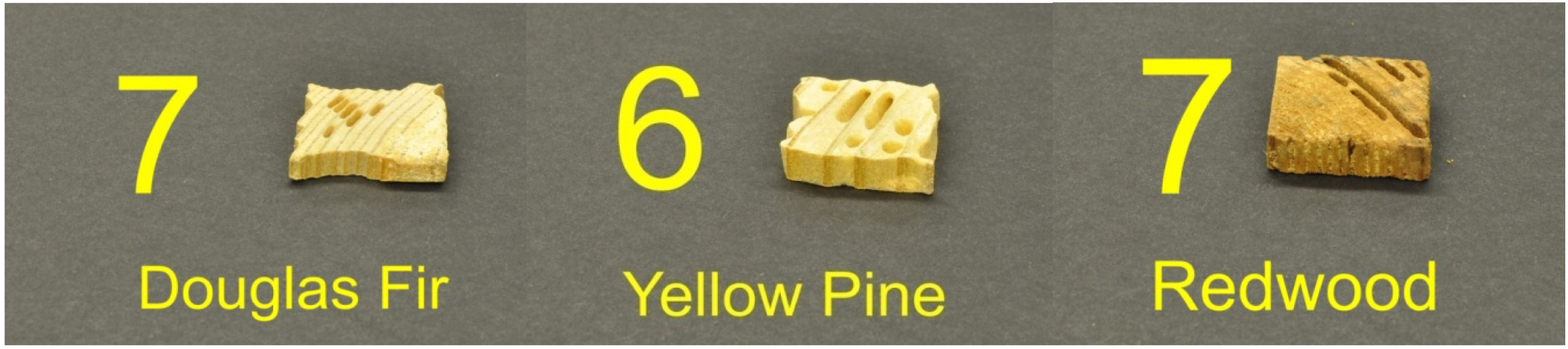 Preferences of Coptotermes formosanus Shiraki and Coptotermes gestroi ...