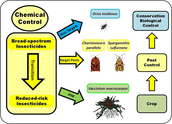 Insects | Free Full-Text | Toxicity of Insecticides on Various Life ...