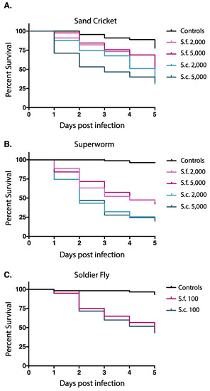 Host-Specific Activation of Entomopathogenic Nematode Infective Juveniles