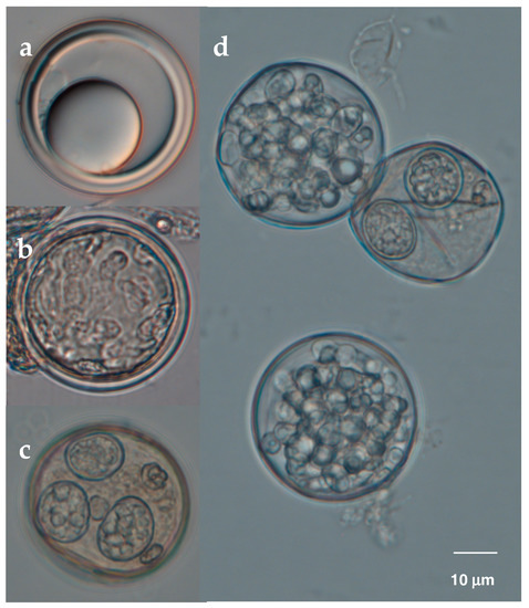 Insects | Special Issue : Mechanisms Underlying Transmission of Insect ...