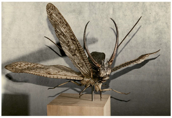 Bionomics and Ecological Services of Megaloptera Larvae (Dobsonflies ...