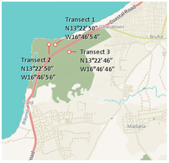 Insects | Free Full-Text | Termites (Blattodea Latreille 1810 ...