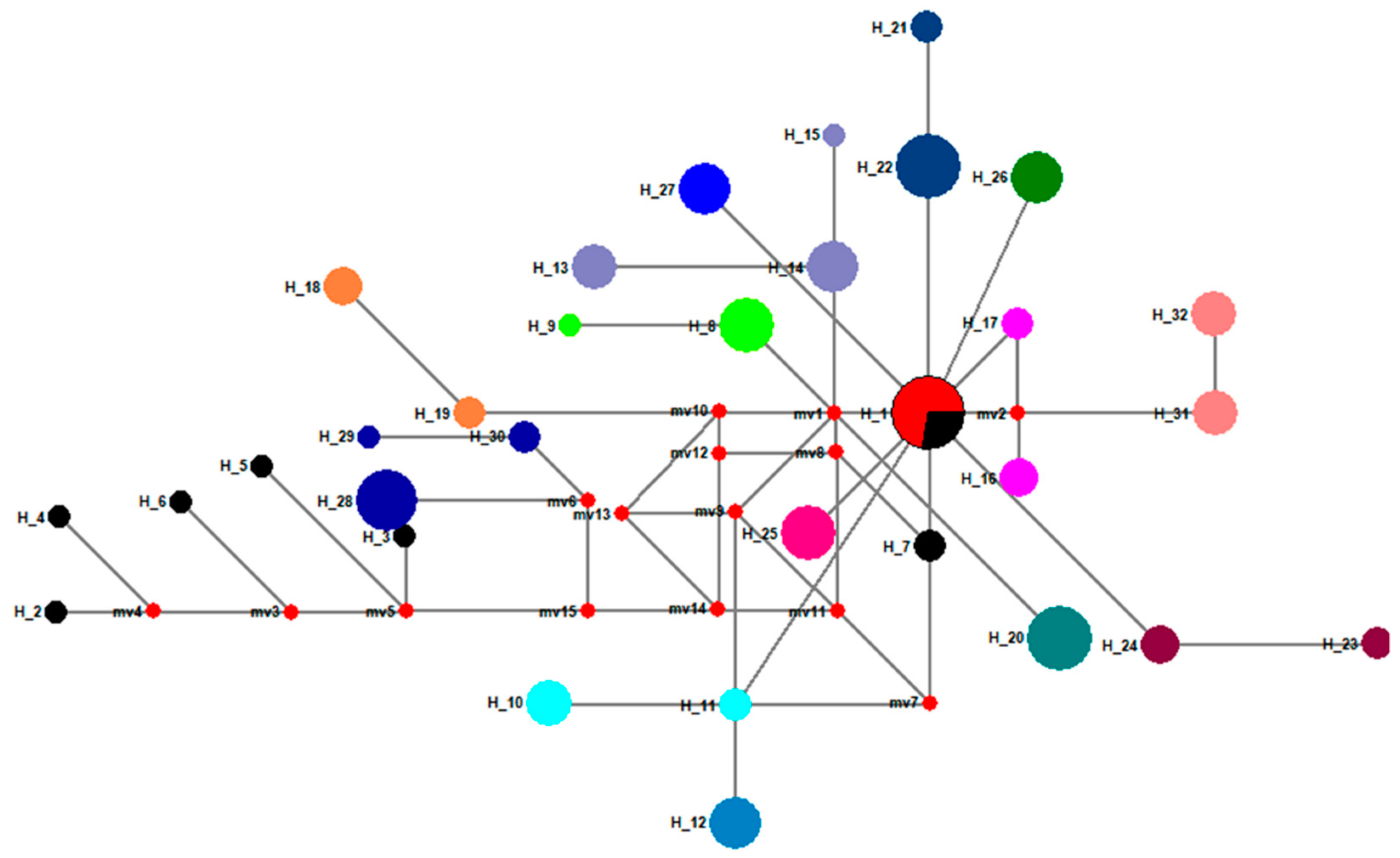 Mitochondrial Gene Sequence (COI) Reveals the Genetic Structure and ...