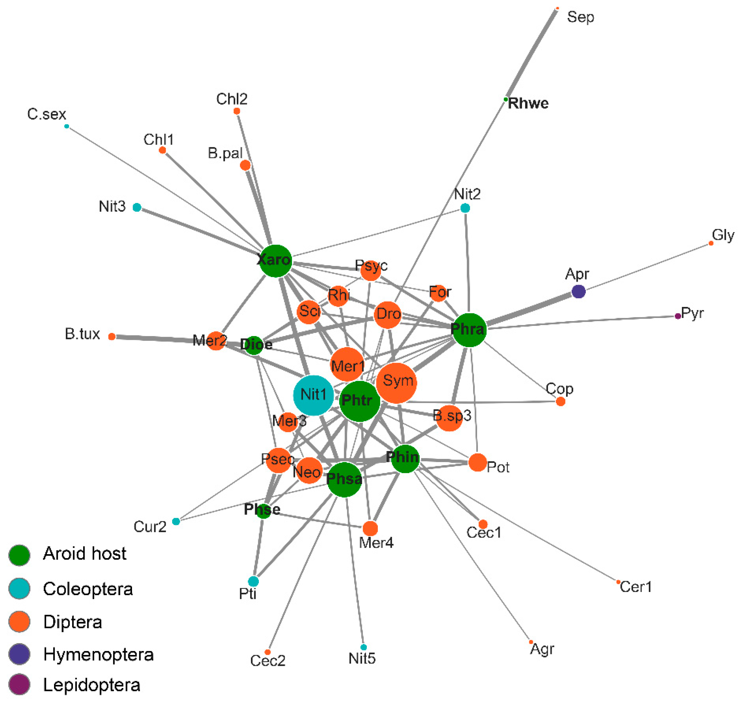 Vertical and Horizontal Trophic Networks in the Aroid-Infesting Insect ...