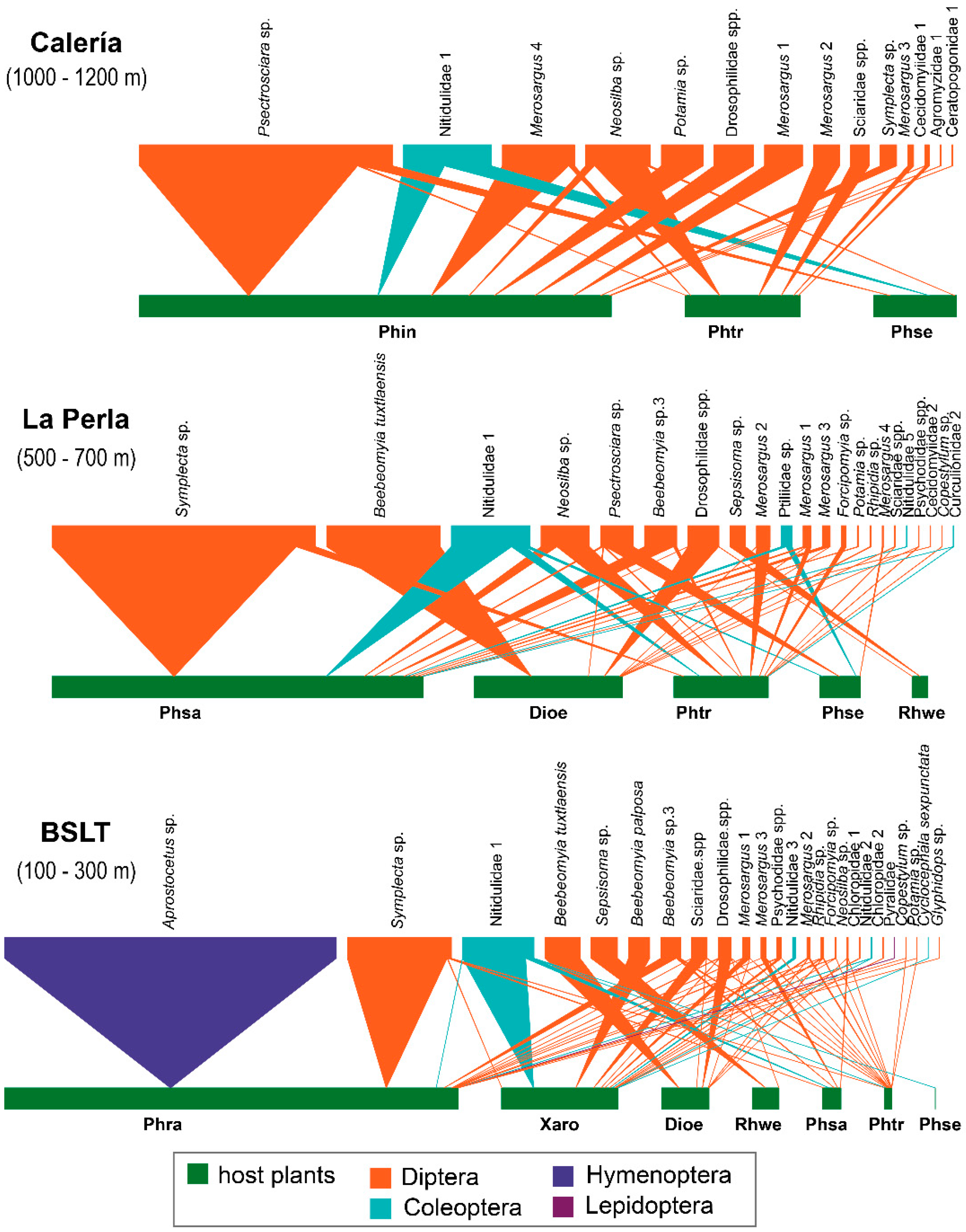 Vertical and Horizontal Trophic Networks in the Aroid-Infesting Insect ...