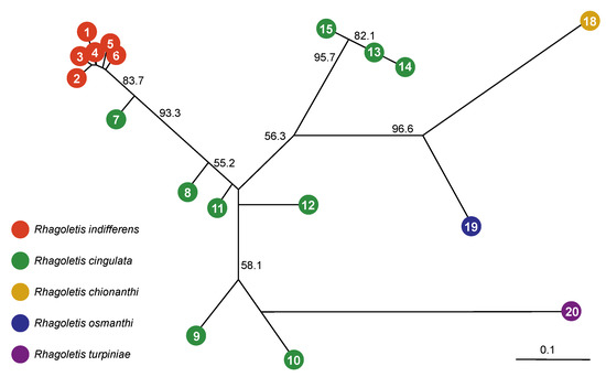 Geographic and Ecological Dimensions of Host Plant-Associated Genetic ...