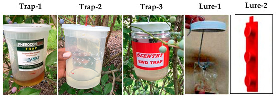 Evaluation of Monitoring Traps and Lures for Drosophila suzukii ...