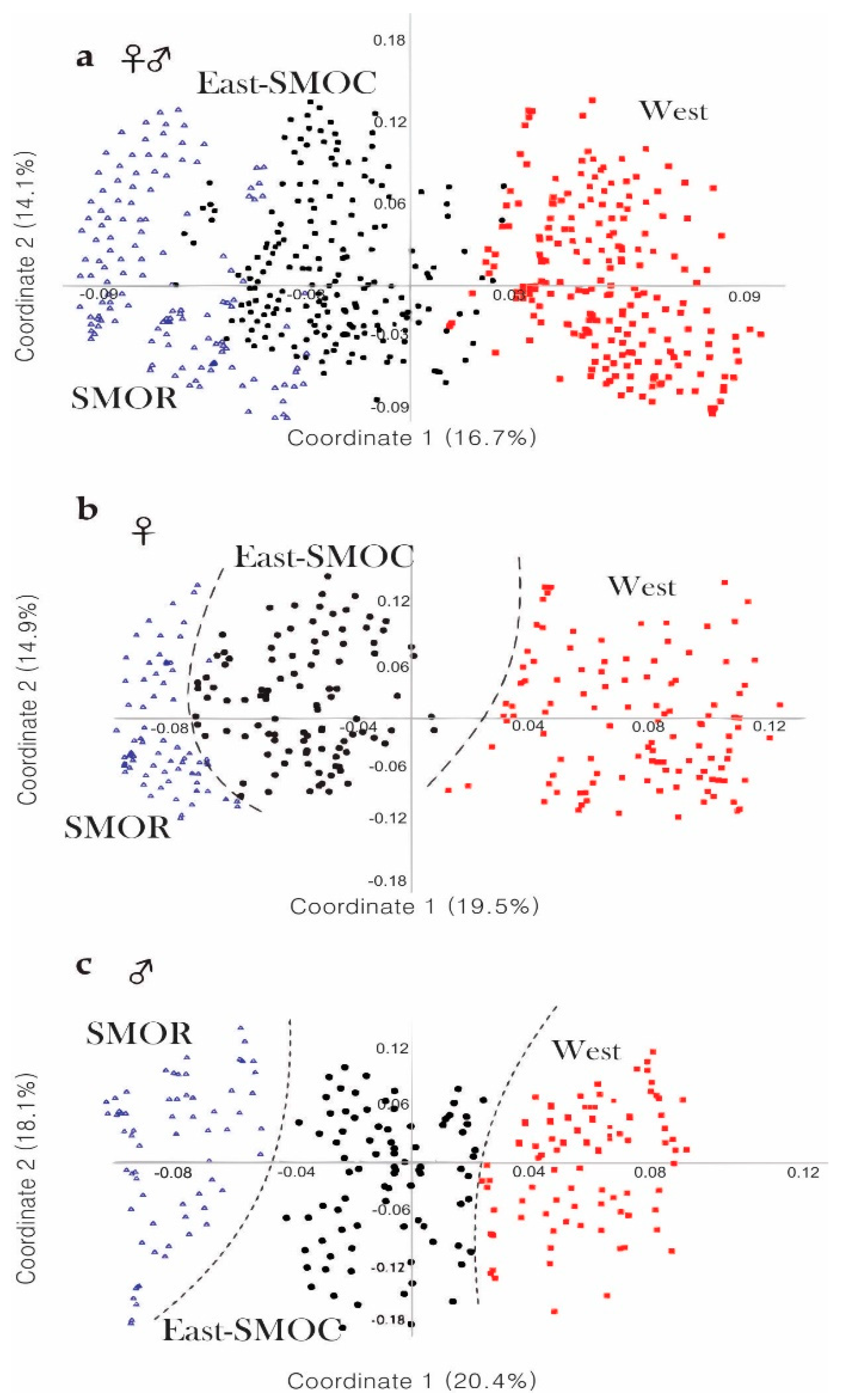 Insects | Free Full-Text | Cryptic Species Discrimination in Western ...
