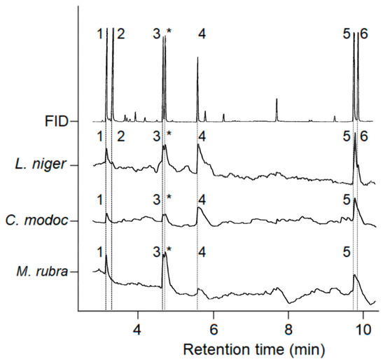 Ants Sense, and Follow, Trail Pheromones of Ant Community Members