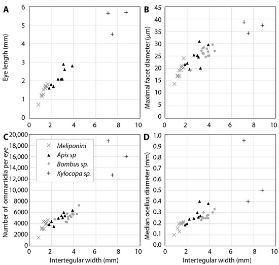 Spatial Vision and Visually Guided Behavior in Apidae