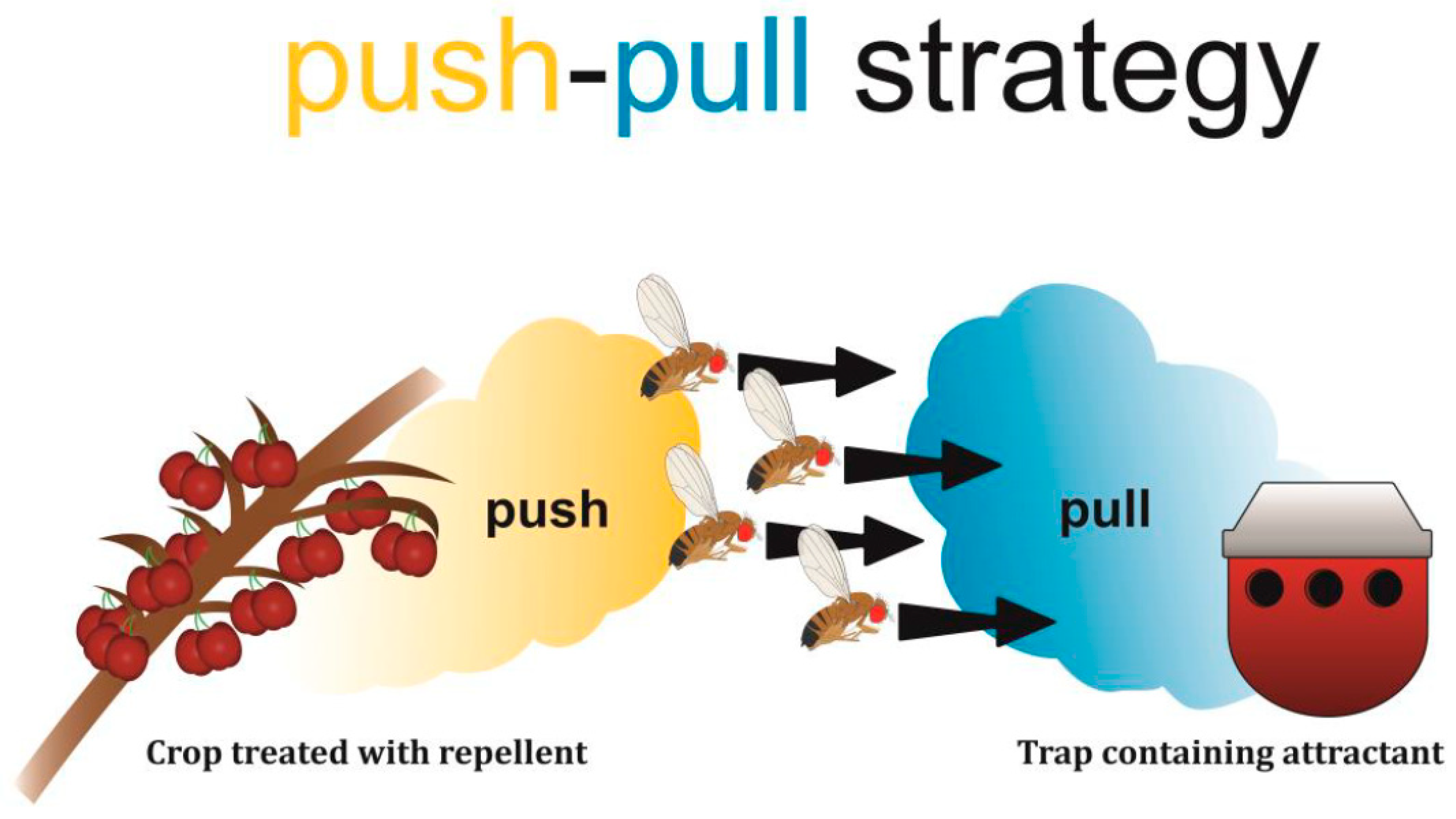 Push And Pull Strategy Push And Pull Strategy