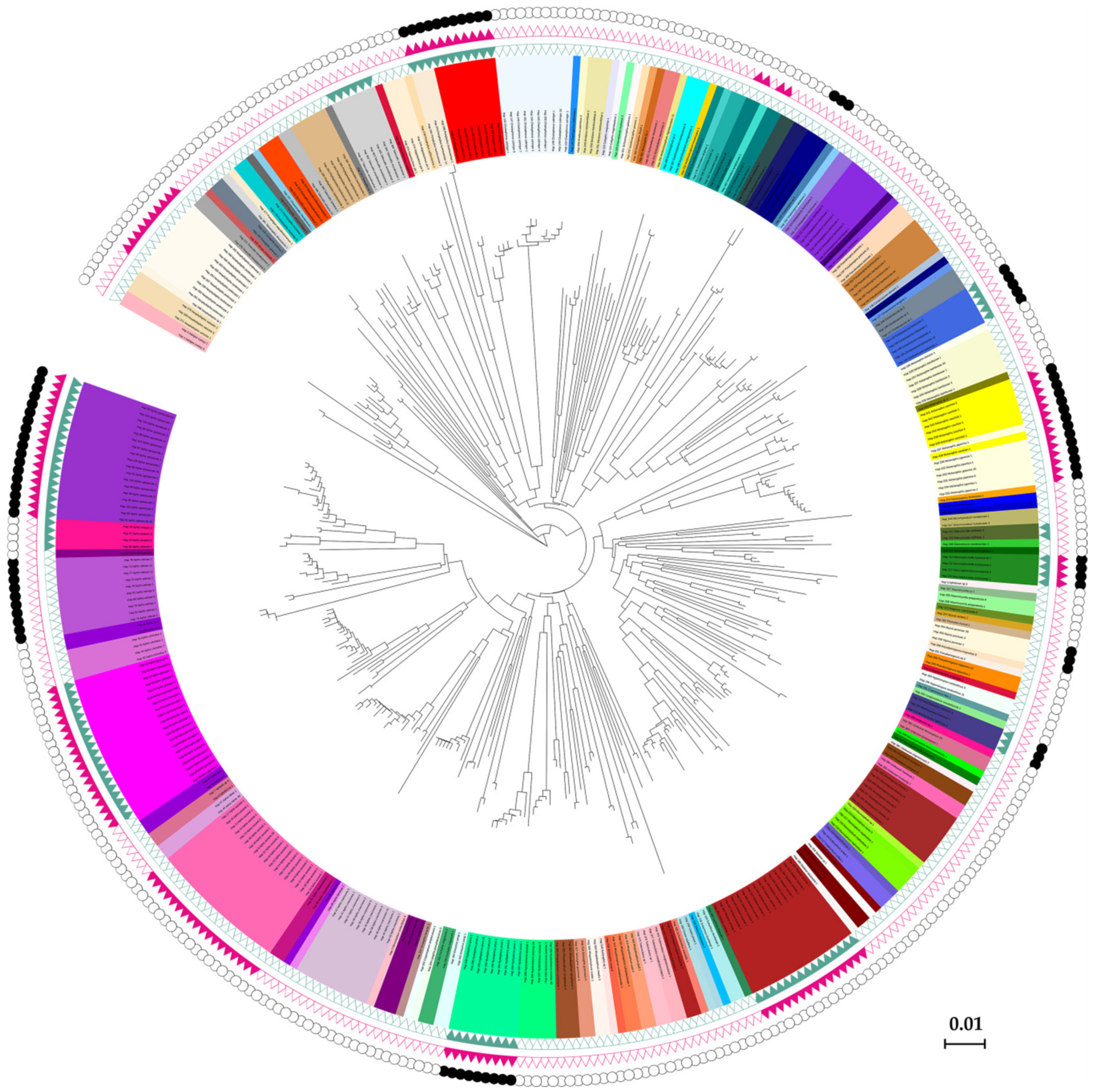 DNA Barcoding Subtropical Aphids and Implications for Population ...