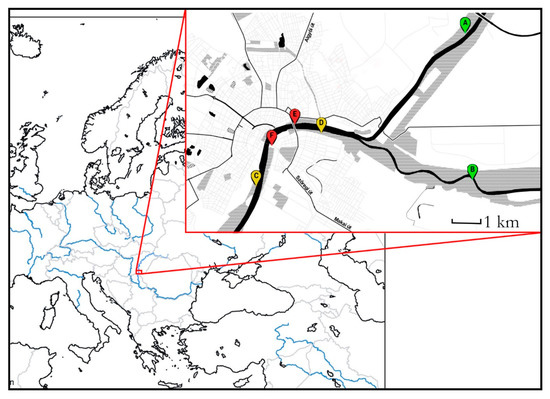 Predation Pressure on Sentinel Insect Prey along a Riverside ...
