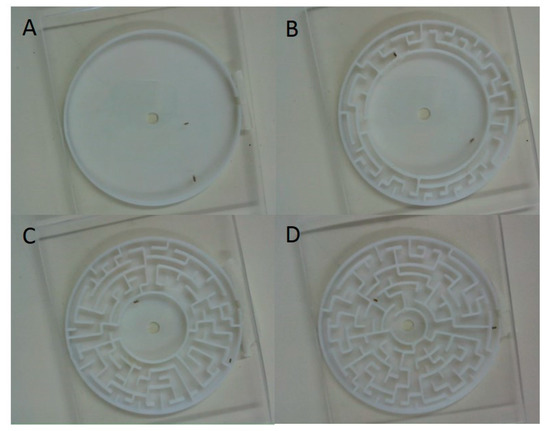 Mazes to Study the Effects of Spatial Complexity, Predation and ...
