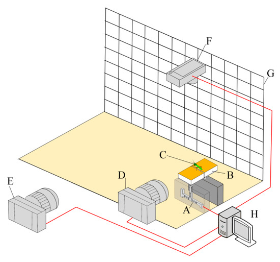 Insects | Free Full-Text | The Effect of Ground Type on the Jump ...