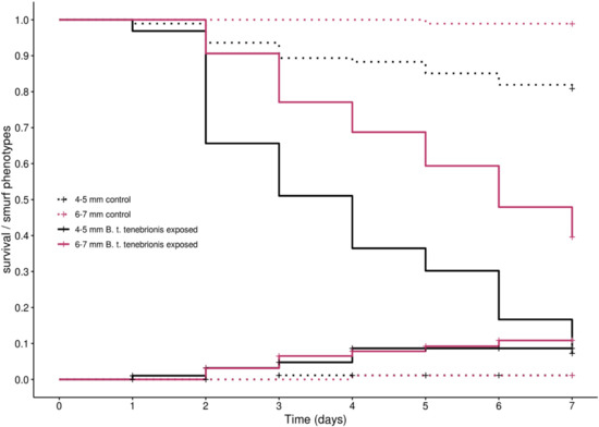 Comparative Mortality and Adaptation of a Smurf Assay in Two Species of ...