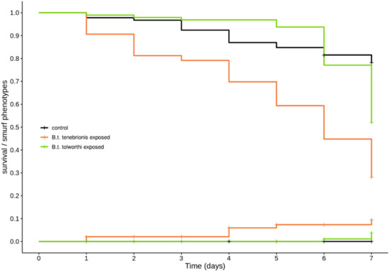Comparative Mortality and Adaptation of a Smurf Assay in Two Species of ...