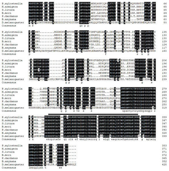 Insects | Free Full-Text | Functional Identification of Px-fringe and ...