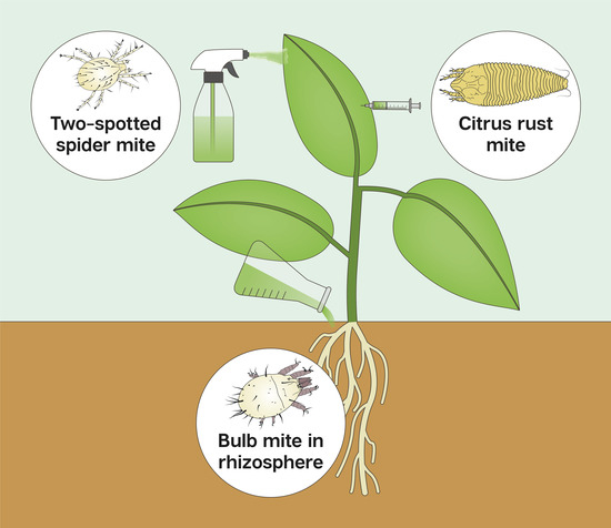 Insects | Special Issue : Control of Insect Pests using ...