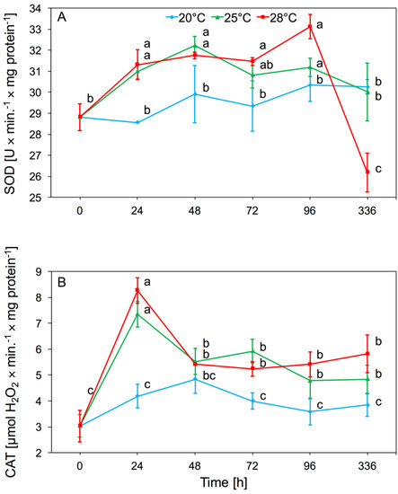 Insects | Free Full-Text | Enzymatic Defense Response of Apple Aphid ...