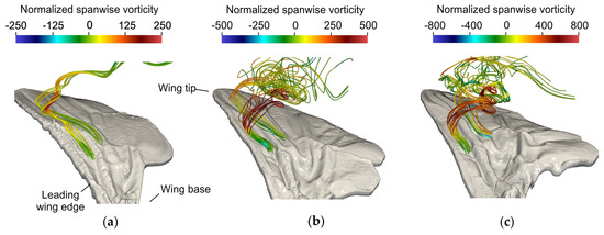 Wing Design in Flies: Properties and Aerodynamic Function