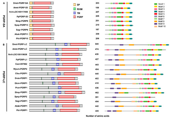 Genome-Wide Analysis of Peptidoglycan Recognition Protein Genes in Fig ...