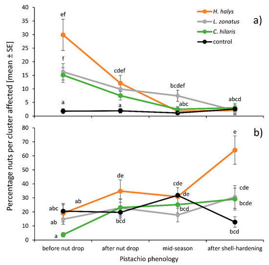 Comparing the Feeding Damage of the Invasive Brown Marmorated Stink Bug ...