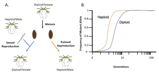 Debugging: Strategies and Considerations for Efficient RNAi-Mediated ...