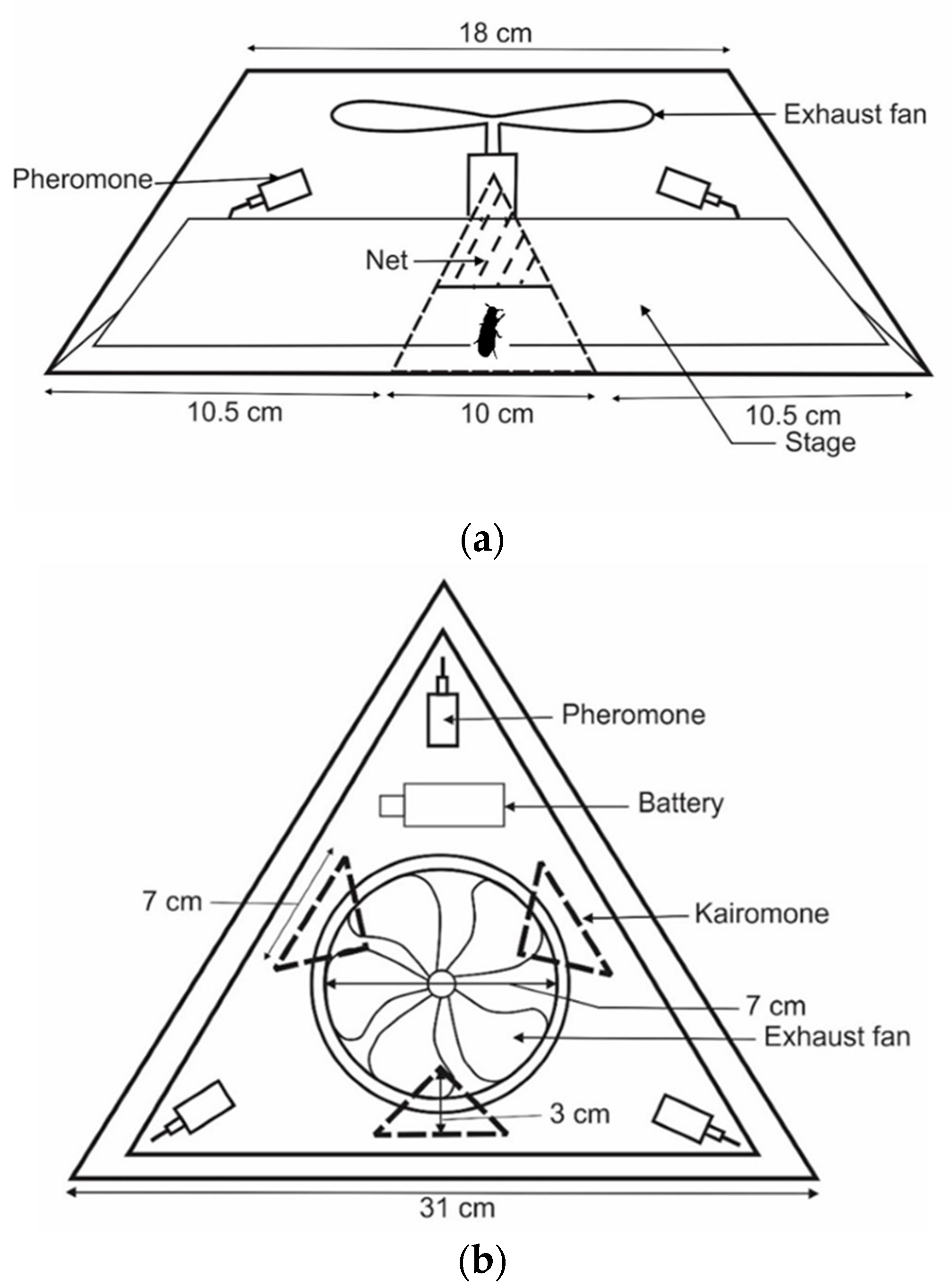 Insects | Free Full-Text | Changes in Shape, Texture and Airflow ...