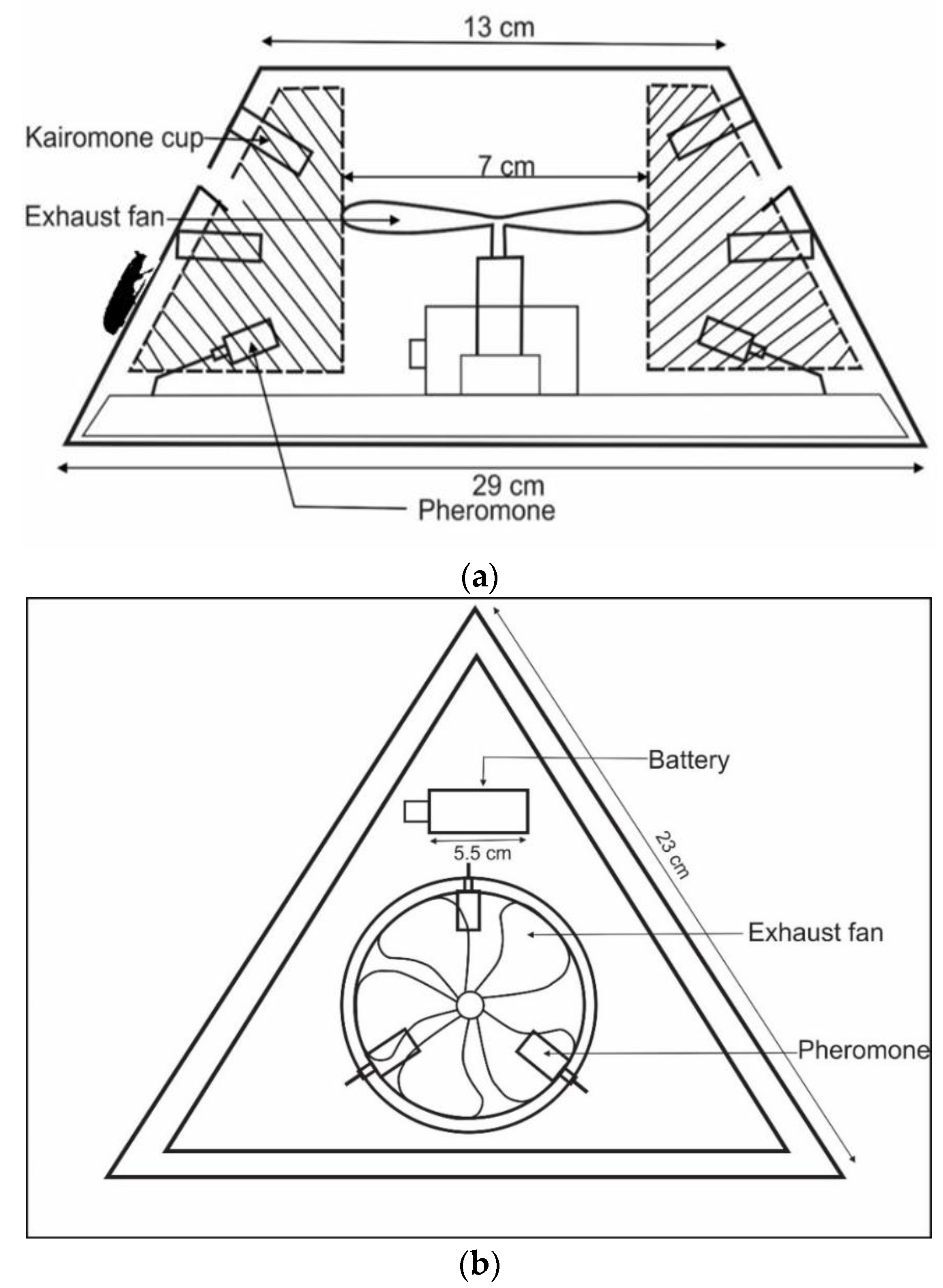 Insects | Free Full-Text | Changes in Shape, Texture and Airflow ...