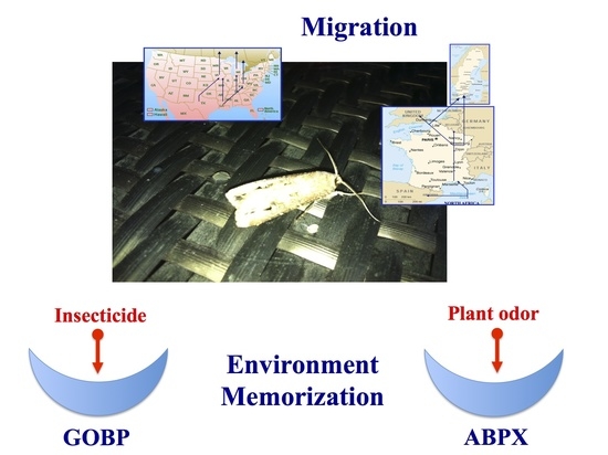 Insects | Topical Collection : Insect Chemical Ecology: Pheromone ...
