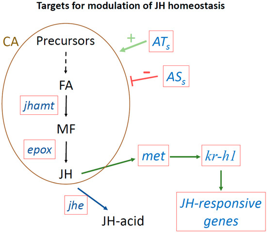 Approaches and Tools to Study the Roles of Juvenile Hormones in ...