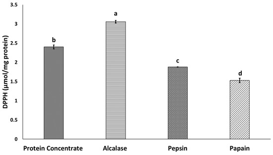 Effects of Enzymatic Hydrolysis on the Functional Properties ...