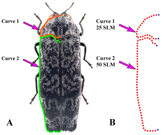 Insects | An Open Access Journal from MDPI