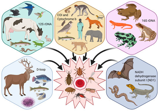 Insects | Free Full-Text | Modernizing the Toolkit for Arthropod ...