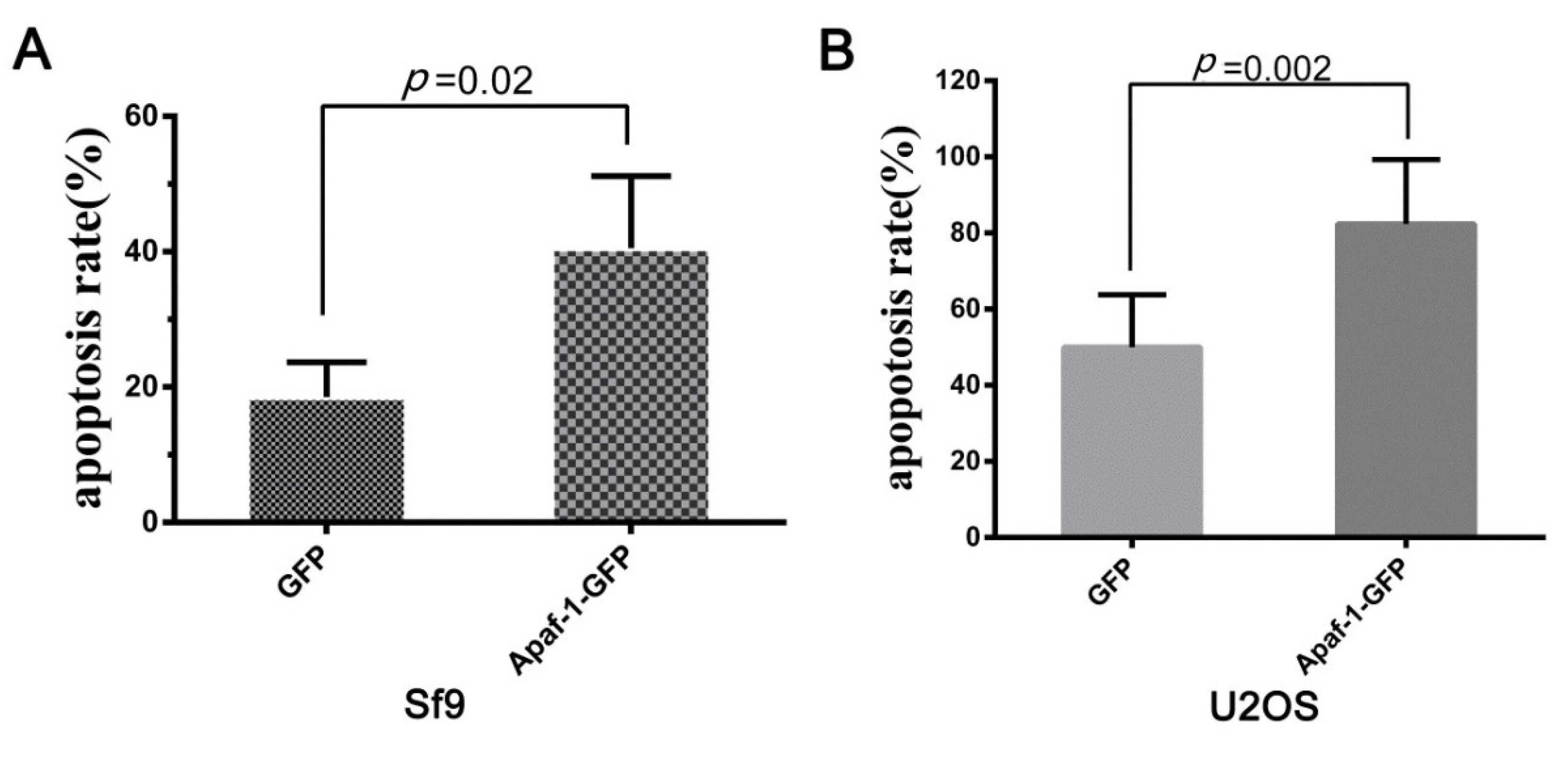 Identification and Functional Analysis of Apoptotic Protease Activating ...