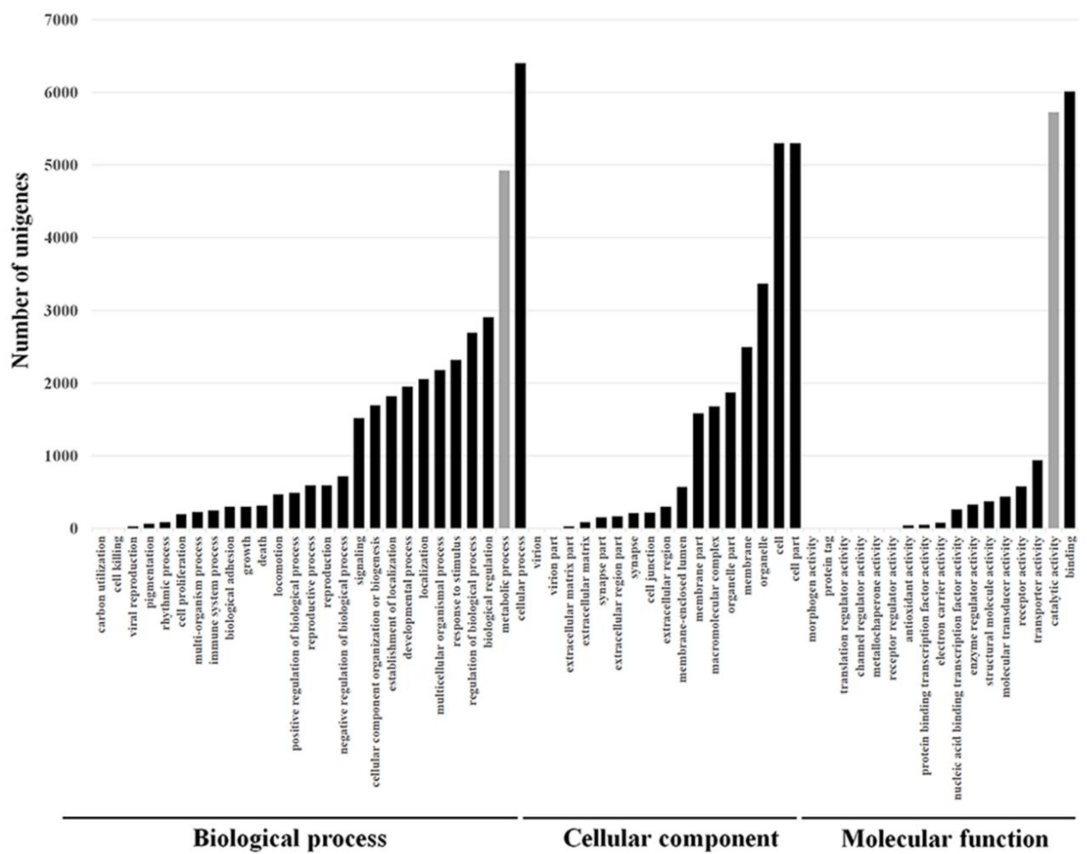 A De Novo Transcriptomics Approach Reveals Genes Involved in Thrips ...