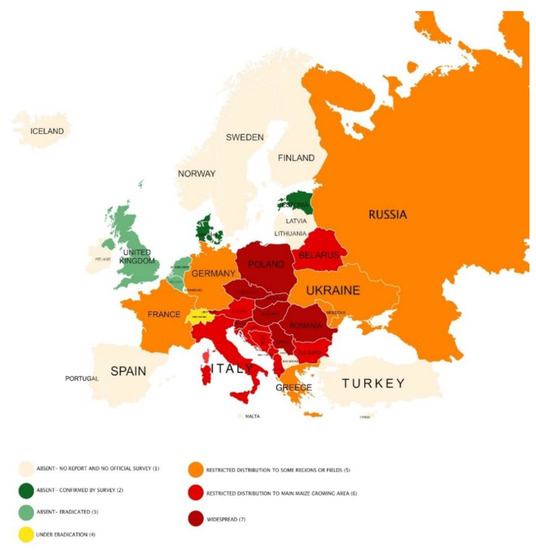 Western Corn Rootworm (Diabrotica virgifera virgifera LeConte) in ...