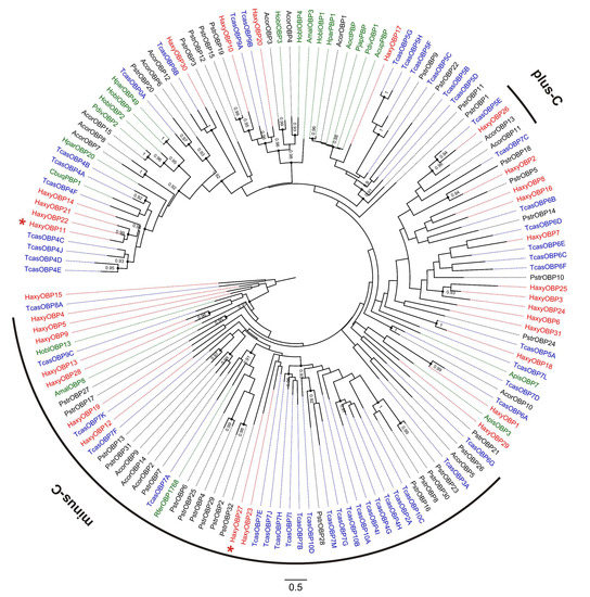 Antennal Transcriptome Analysis and Identification of Candidate ...