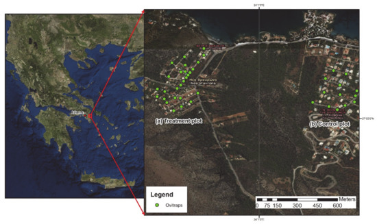 Insects | Special Issue : Sterile Insect Technique (SIT) and Its ...
