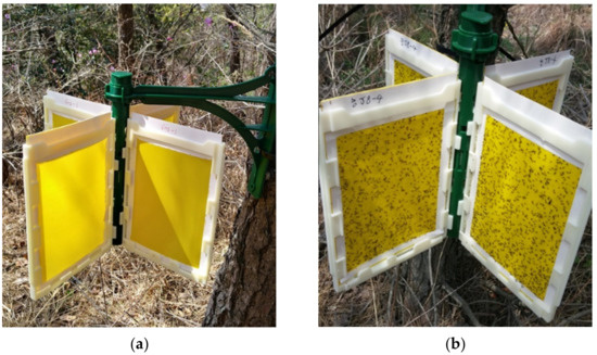 Automatic Pest Counting from Pheromone Trap Images Using Deep Learning Object Detectors for ...